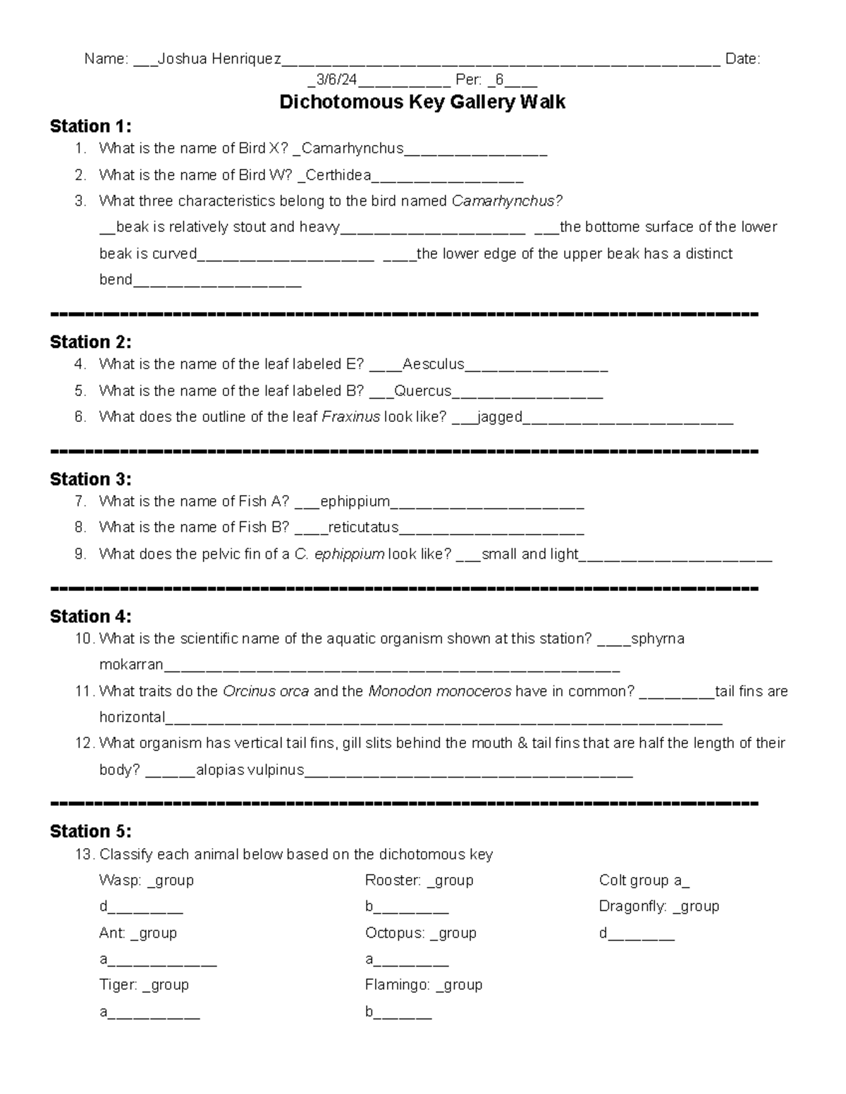 Dichotomous Key Worksheet - Name: Joshua Henriquez