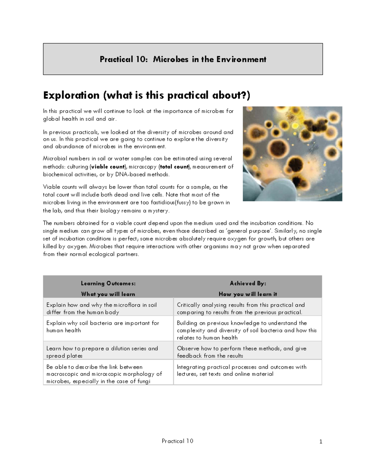 Practical 10: Exploring Microbial Diversity in Soil and Air (2025 ...