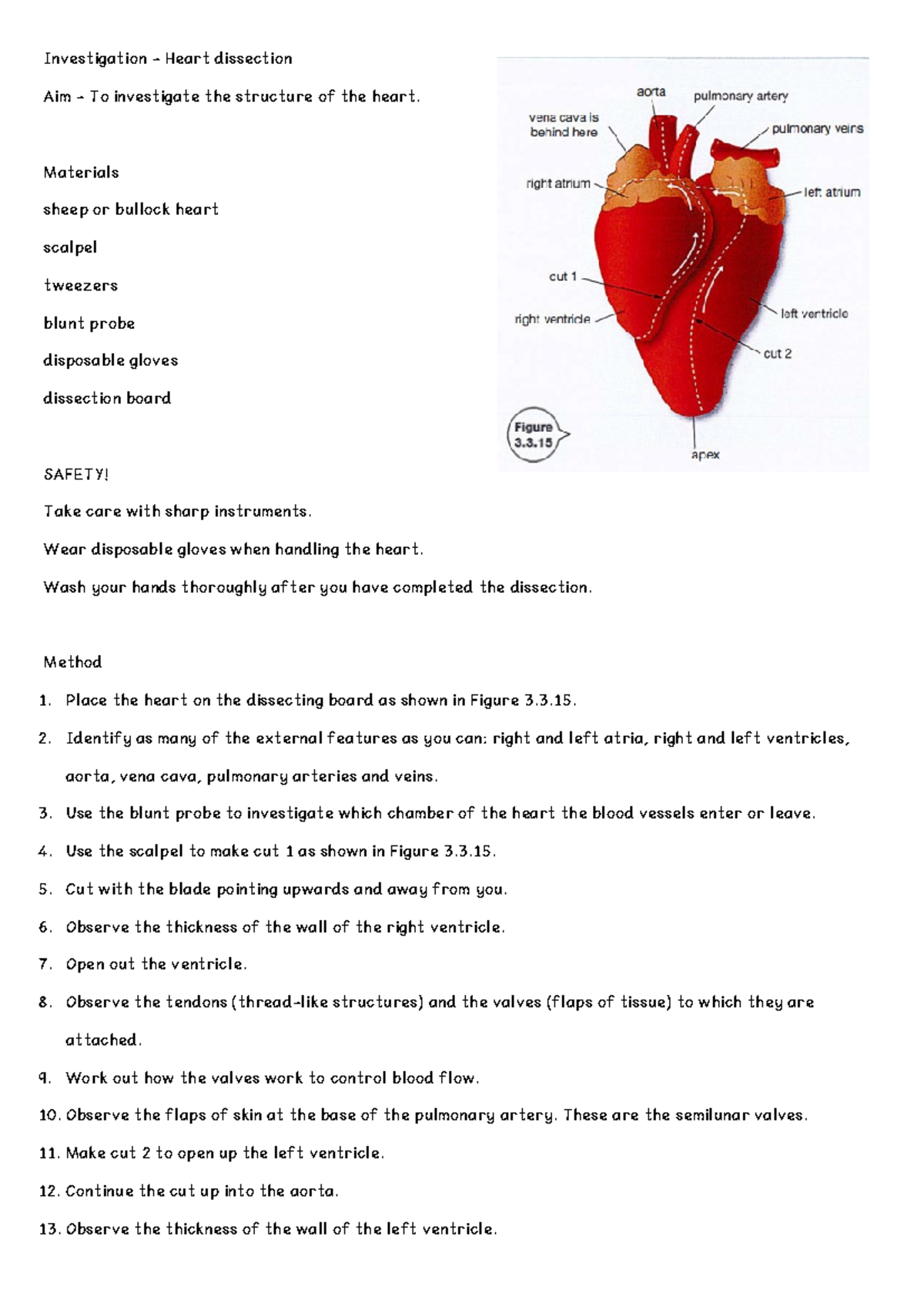 8 Science LW - Heart Dissection Investigation Procedure and Safety ...