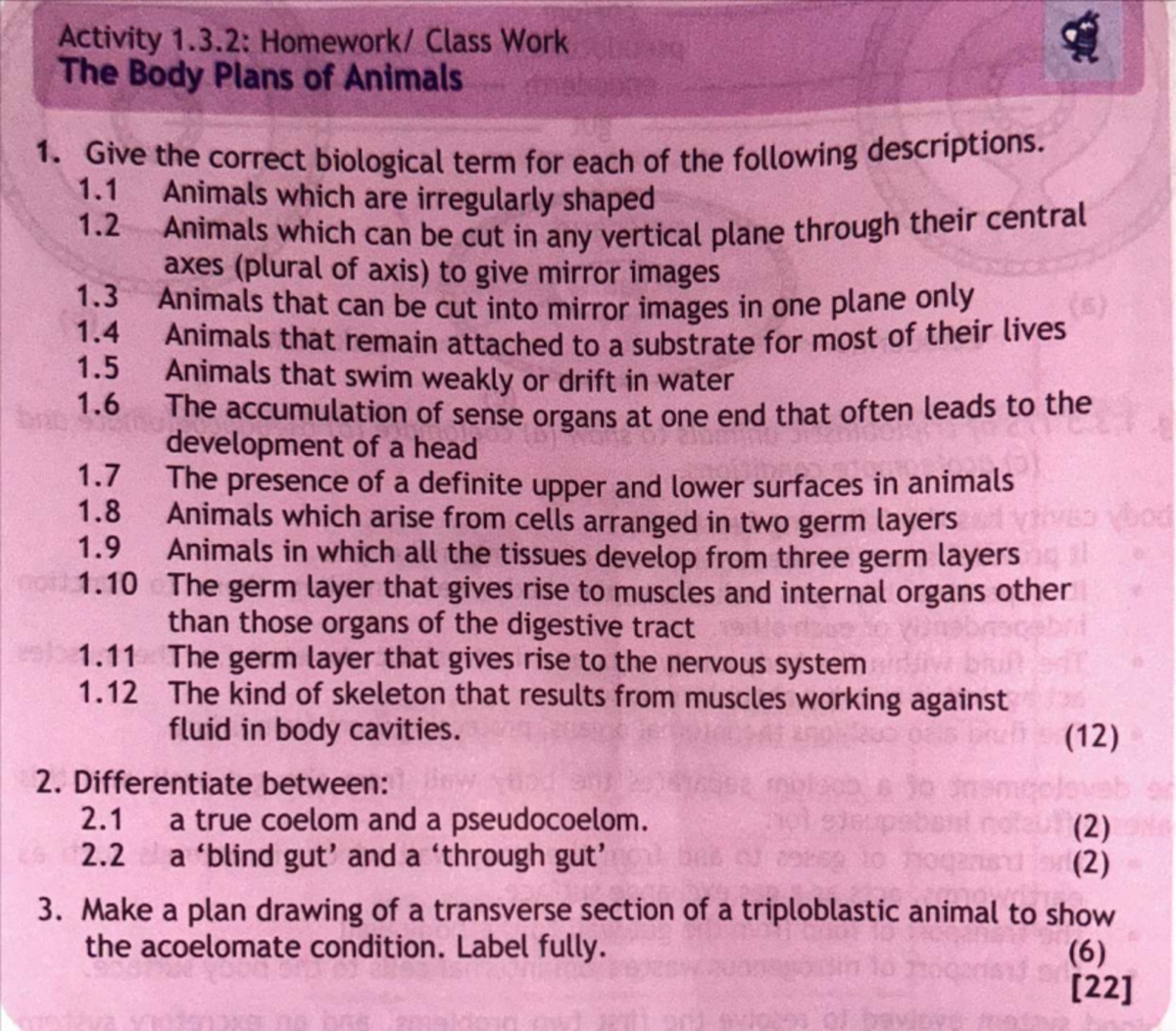 Activity 1.3.2: Class Work on Animal Body Plans and Phyla - Studocu
