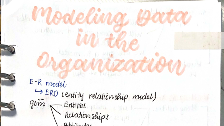 Modeling Data in the UN Organization ERD (Entity Relationship Model ...
