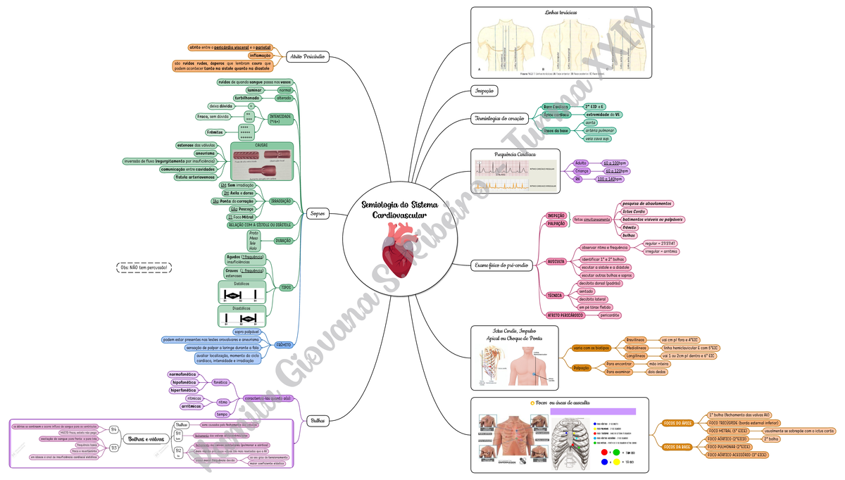 Semiologia Cardiovascular: Aspectos Clave e Procedimentos Clínicos ...