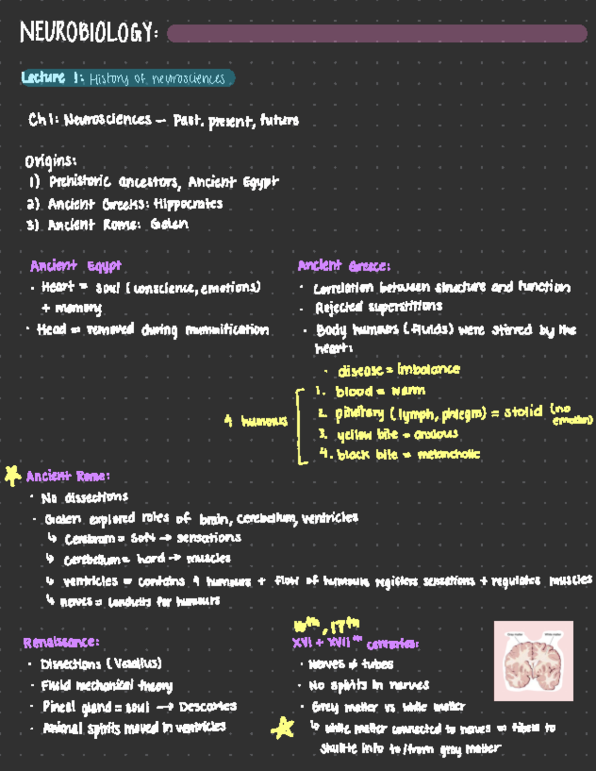 Neurobiology - Lecture Summaries - EUR BIOL GY : Lecture 1 : History of ...