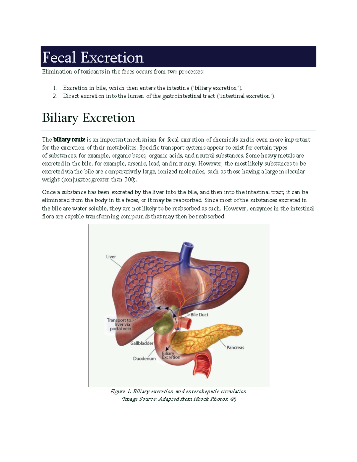 Fecal Excretion Mechanisms: Biliary & Intestinal Pathways - Studocu