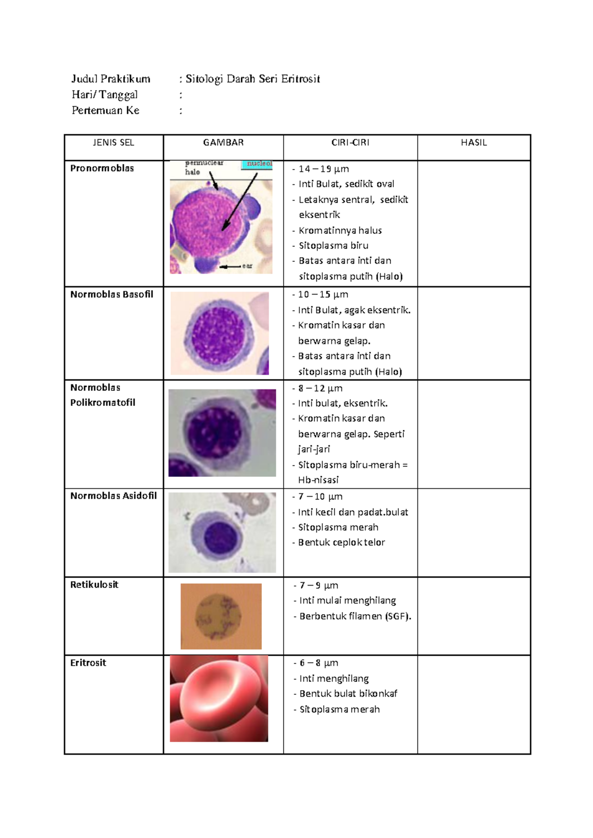 Praktikum Hematologi: Morfologi dan Jenis Sel Darah - Studocu
