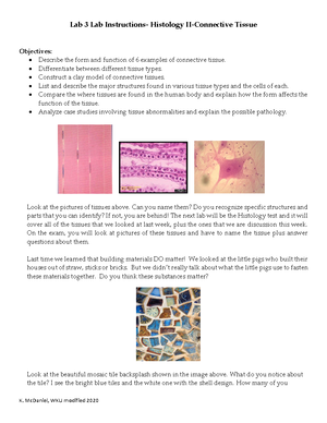 Detailed Study of Tissues: Histology and Anatomy Review (BIO 101) - A ...