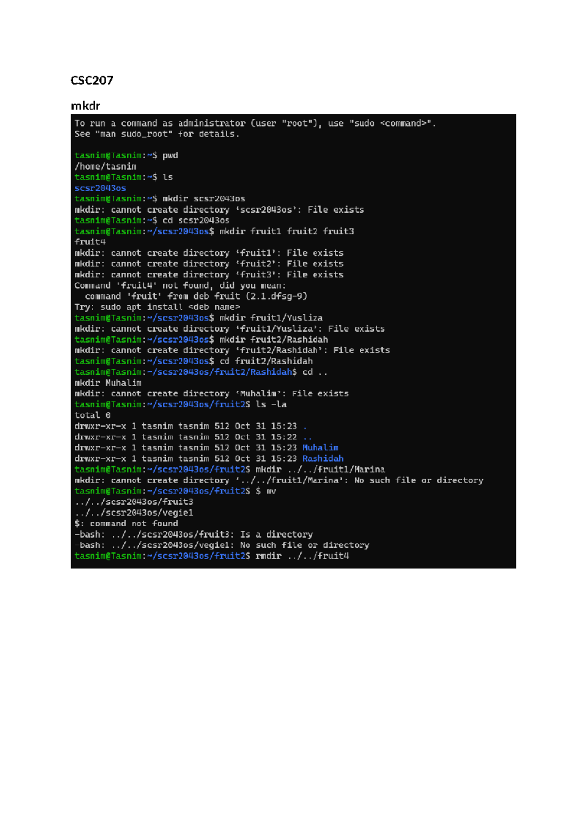 CSC207 - Command Line Operations and Directory Management Report - Studocu