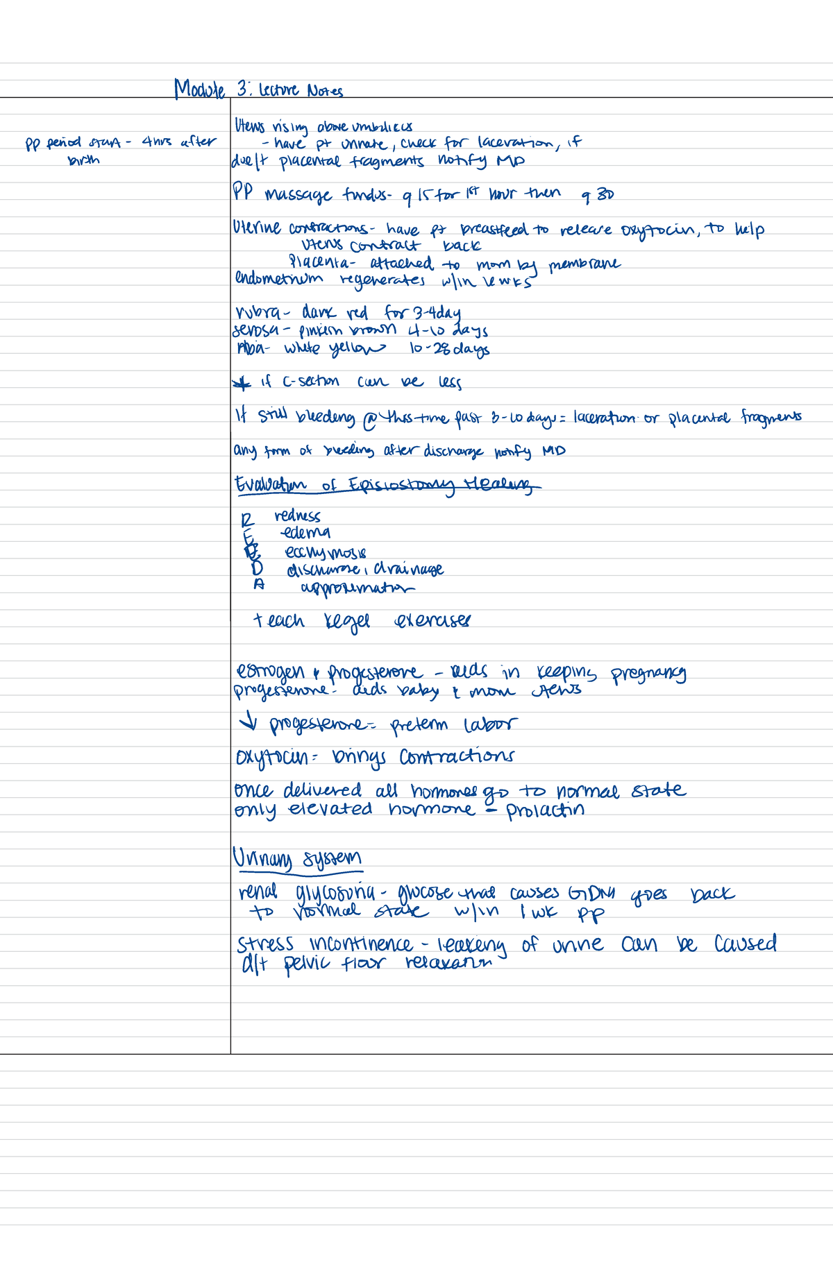 Module 3: Postpartum Care Lecture Notes (Nursing 101) - Studocu