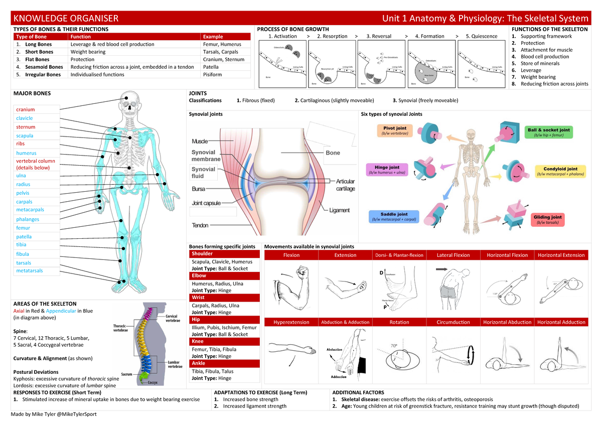 Knowledge Organiser Unit 1 Anatomy Physiology: All Five Body Systems ...