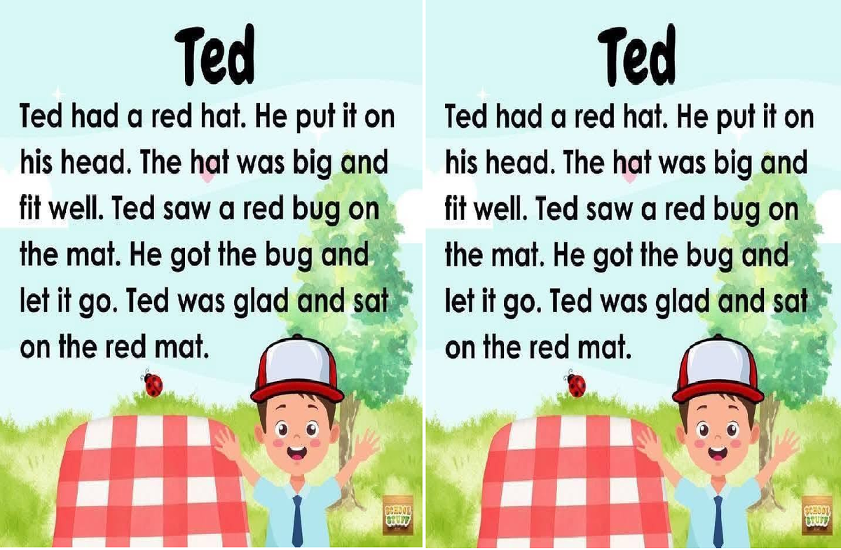 Print - Grade 2 - Ted Ted Ted had a red hat. He put it on Ted had a red ...