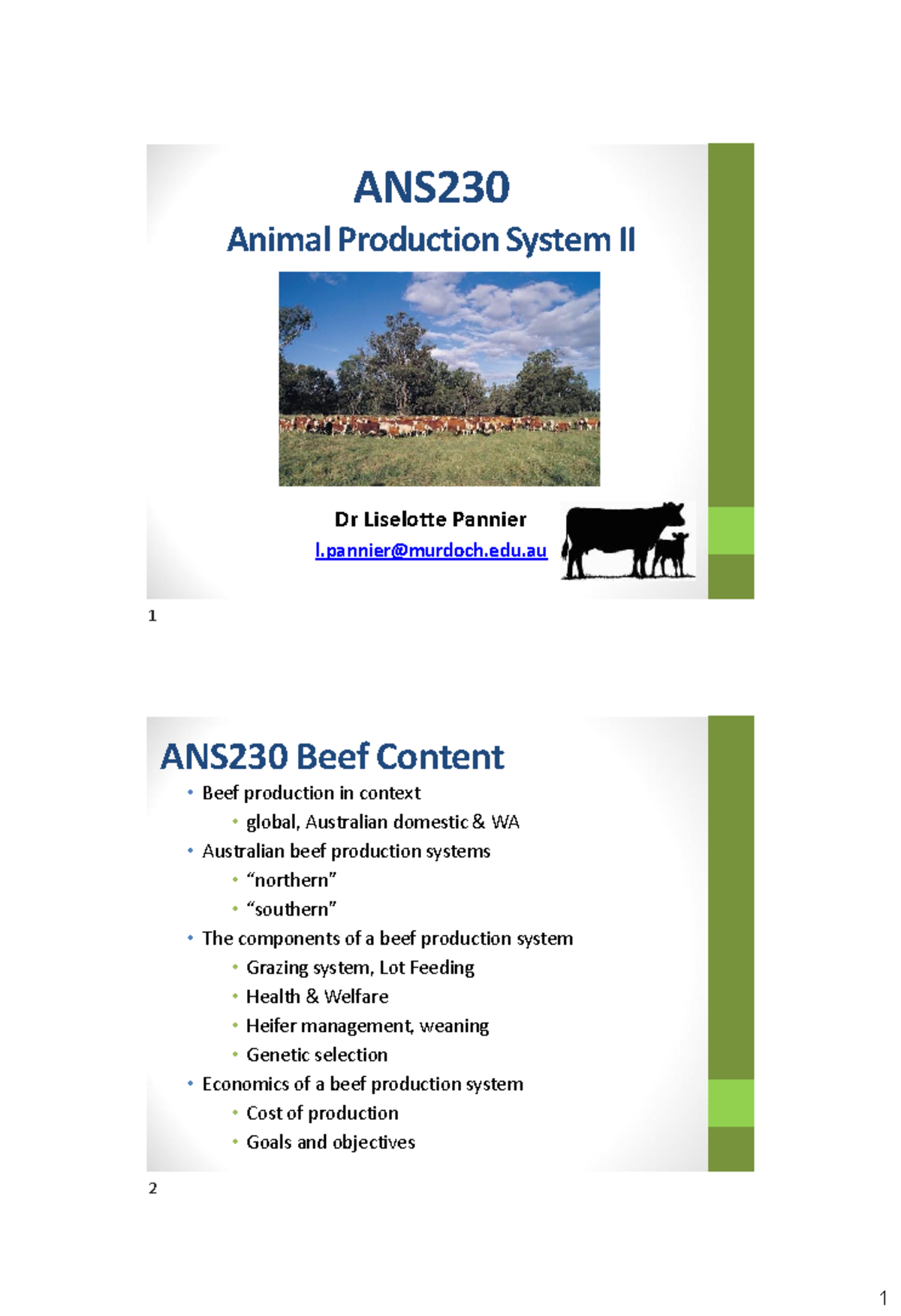 L1 Beef Production 2023 LPStudent - ANS Animal Production System II Dr ...