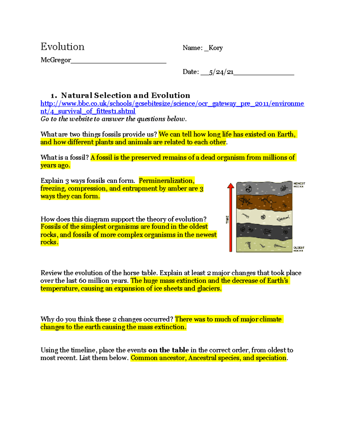 Evolution Webquest: Understanding Natural Selection in Biology - Studocu