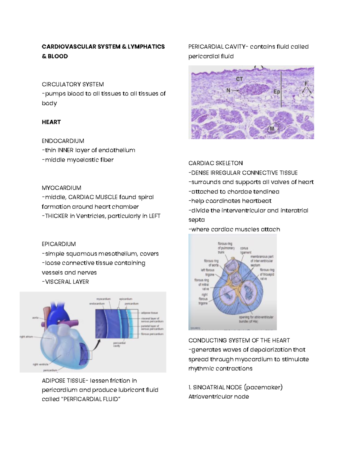 CARDIOVASCULAR SYSTEM: LECTURE NOTES ON LYMPHATICS & CIRCULATION - Studocu
