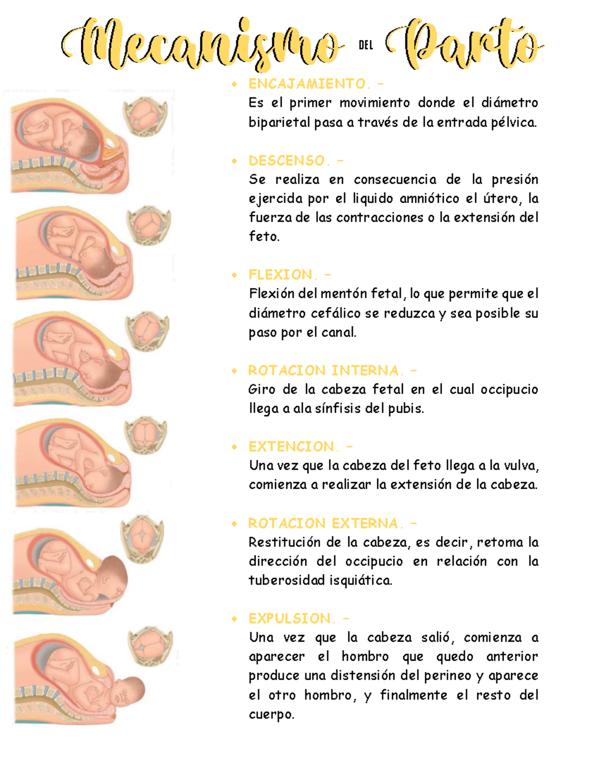 Mecanismos del parto - Mecanismo Parto Mecanismo Parto DEL ...