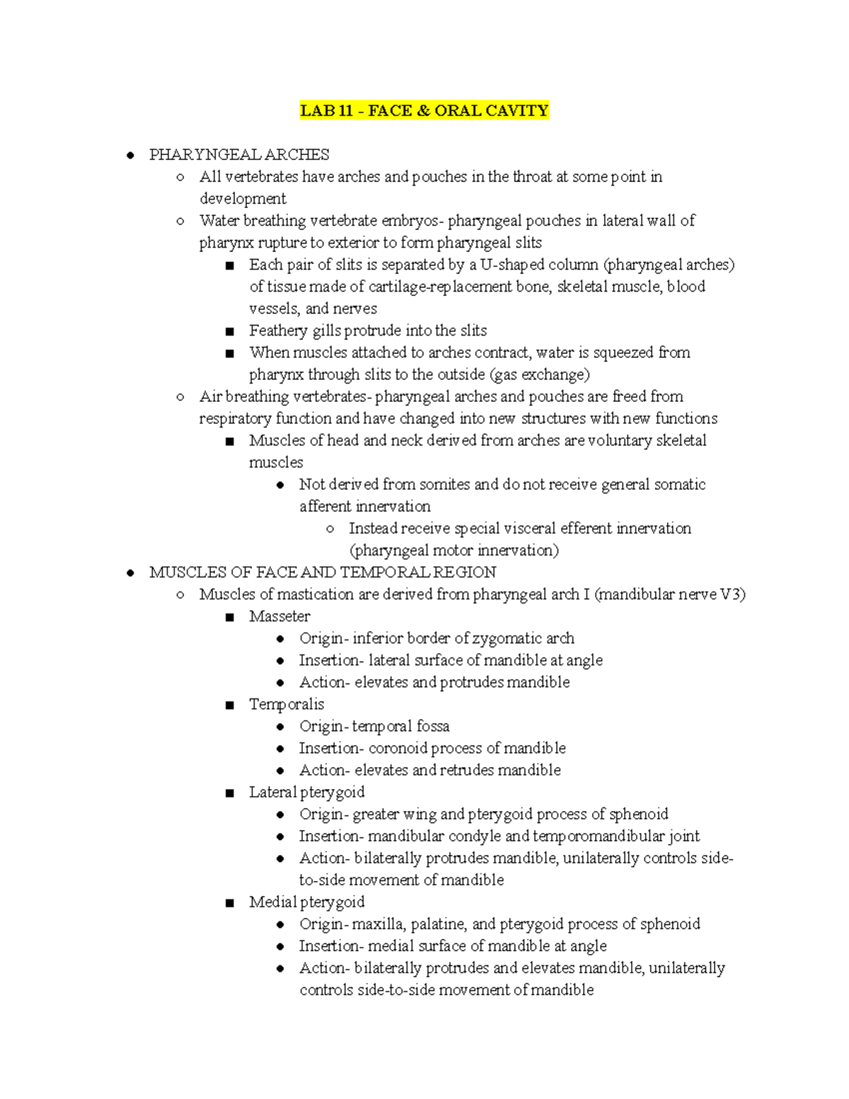 Lab 11 - Face & Oral Cavity - LAB 11 FACE ORAL CAVITY PHARYNGEAL ARCHES ...