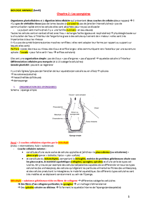 TP3 Dissection: Moule - Etude d’un Lamellibranche : La moule : Mytilus ...