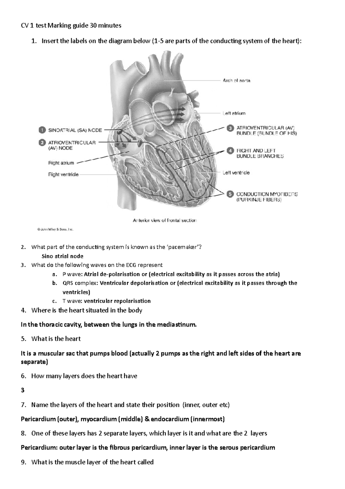 CV 101 Cardiovascular System Quiz: Key Concepts and Marking Guide - Studocu