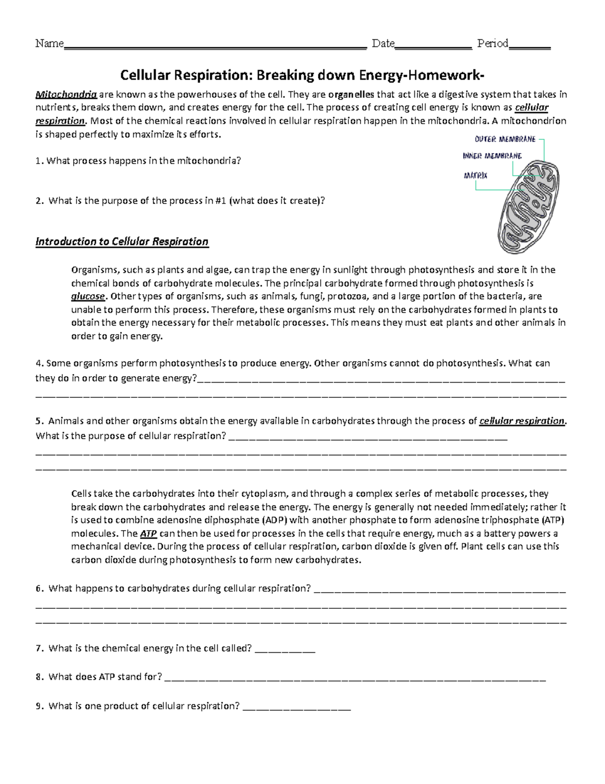 Cellular Respiration-Homework - Name
