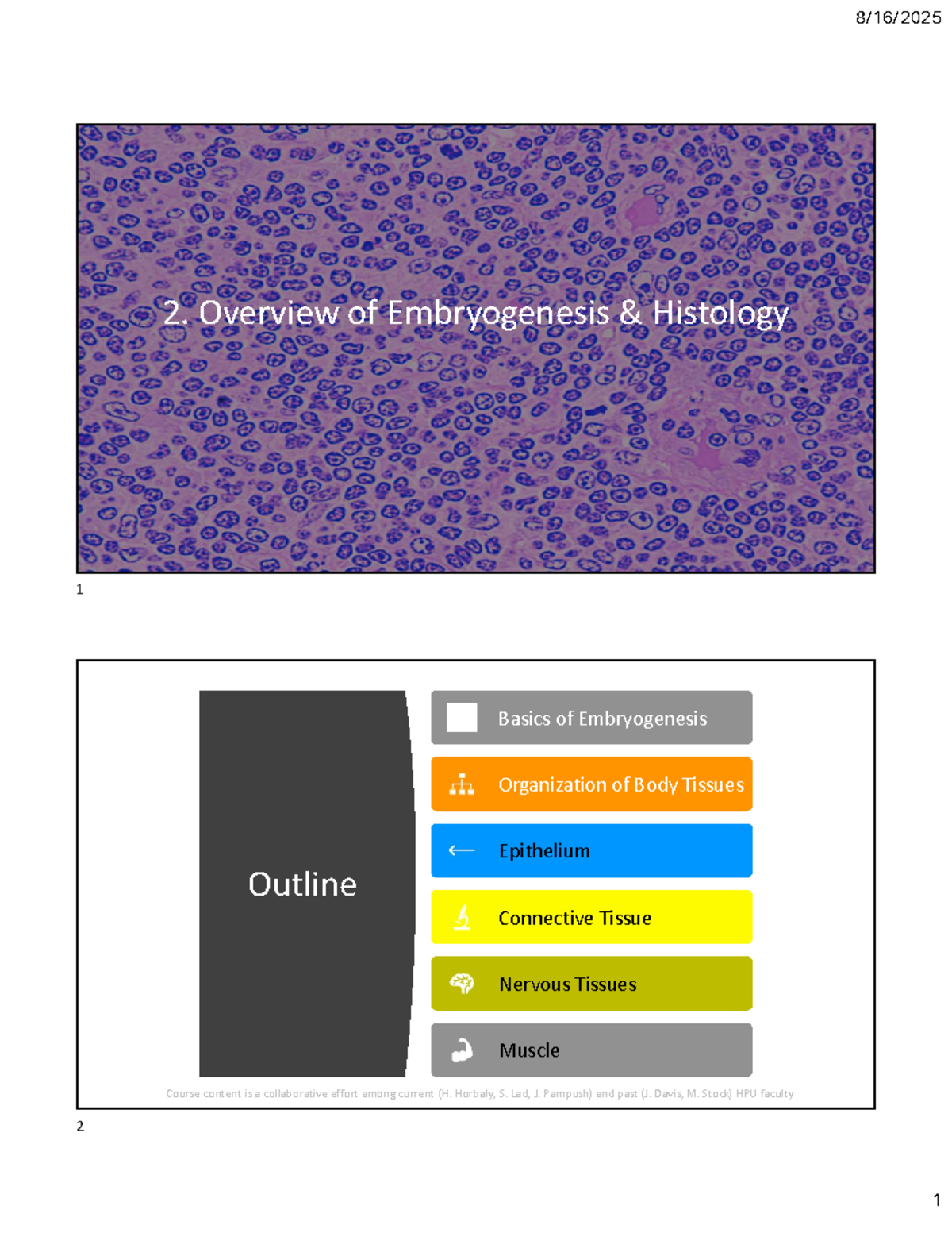 02. Embryogenesis & Histology: Overview of Body Tissue Organization ...