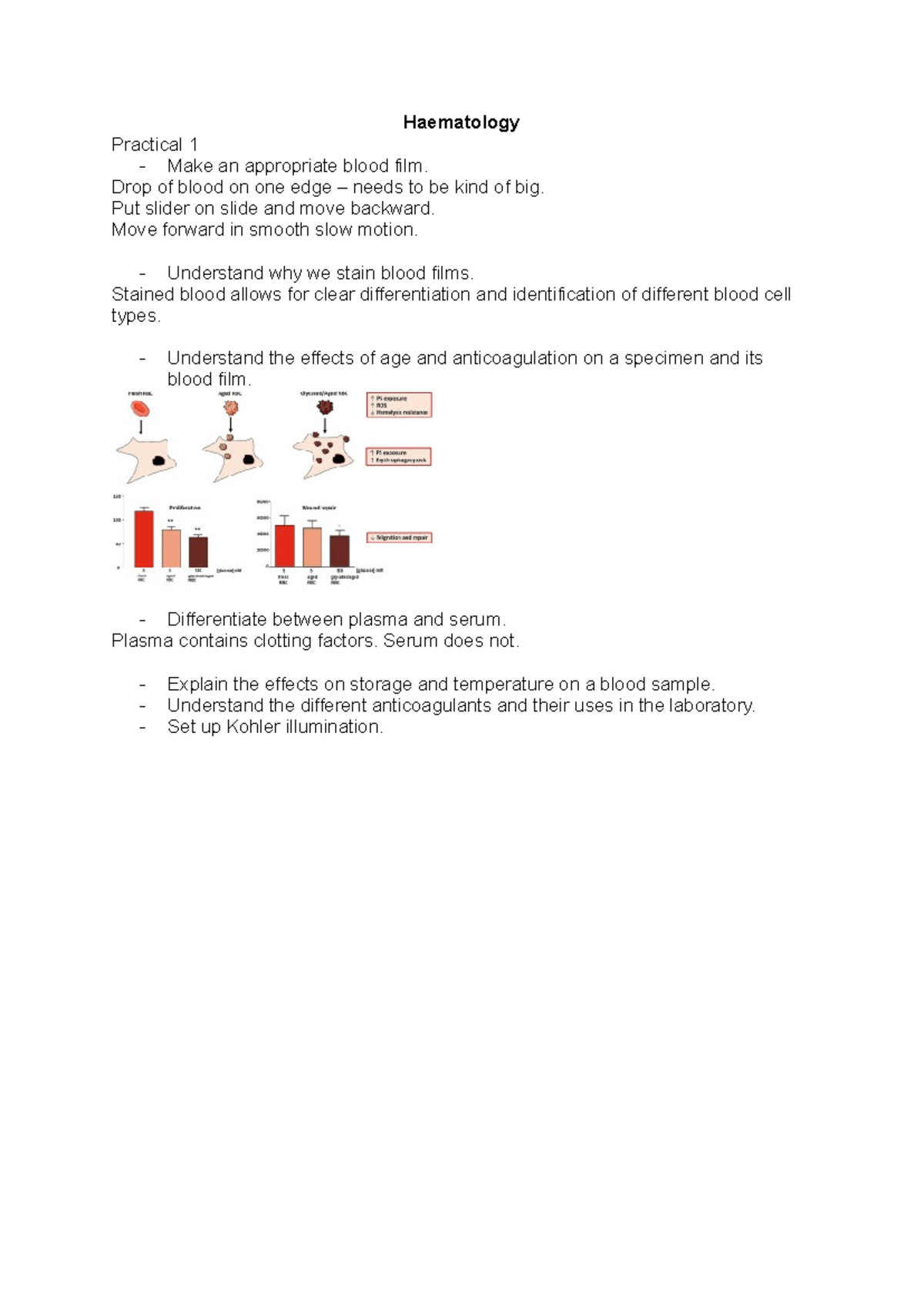 Haematology Practical 1: Blood Film Preparation & Analysis Notes - Studocu