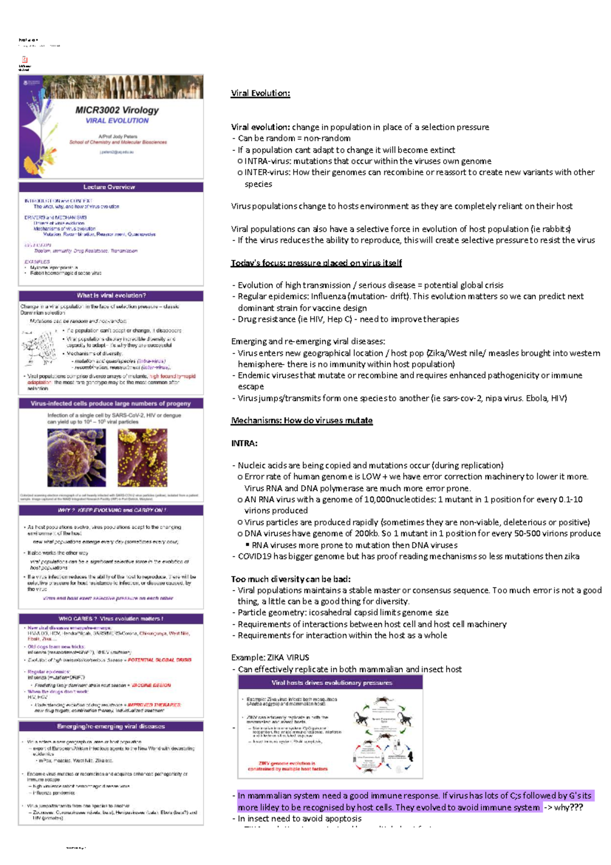 MICR3002 Lecture Notes: Viral Evolution and Mutation Dynamics - Studocu