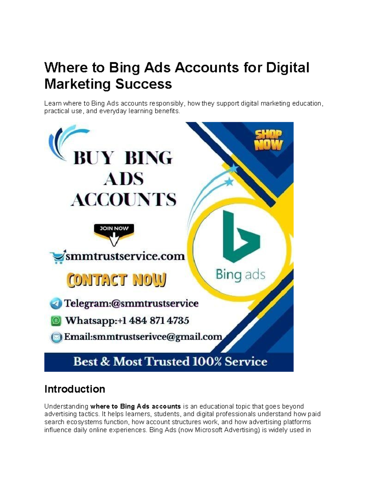 Understanding Bing Ads Accounts for Digital Marketing Education - Studocu