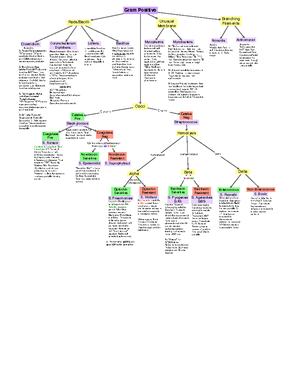 Bacteriology Flow Chart Identification of Bacteria - GRAM STAIN Gram ...