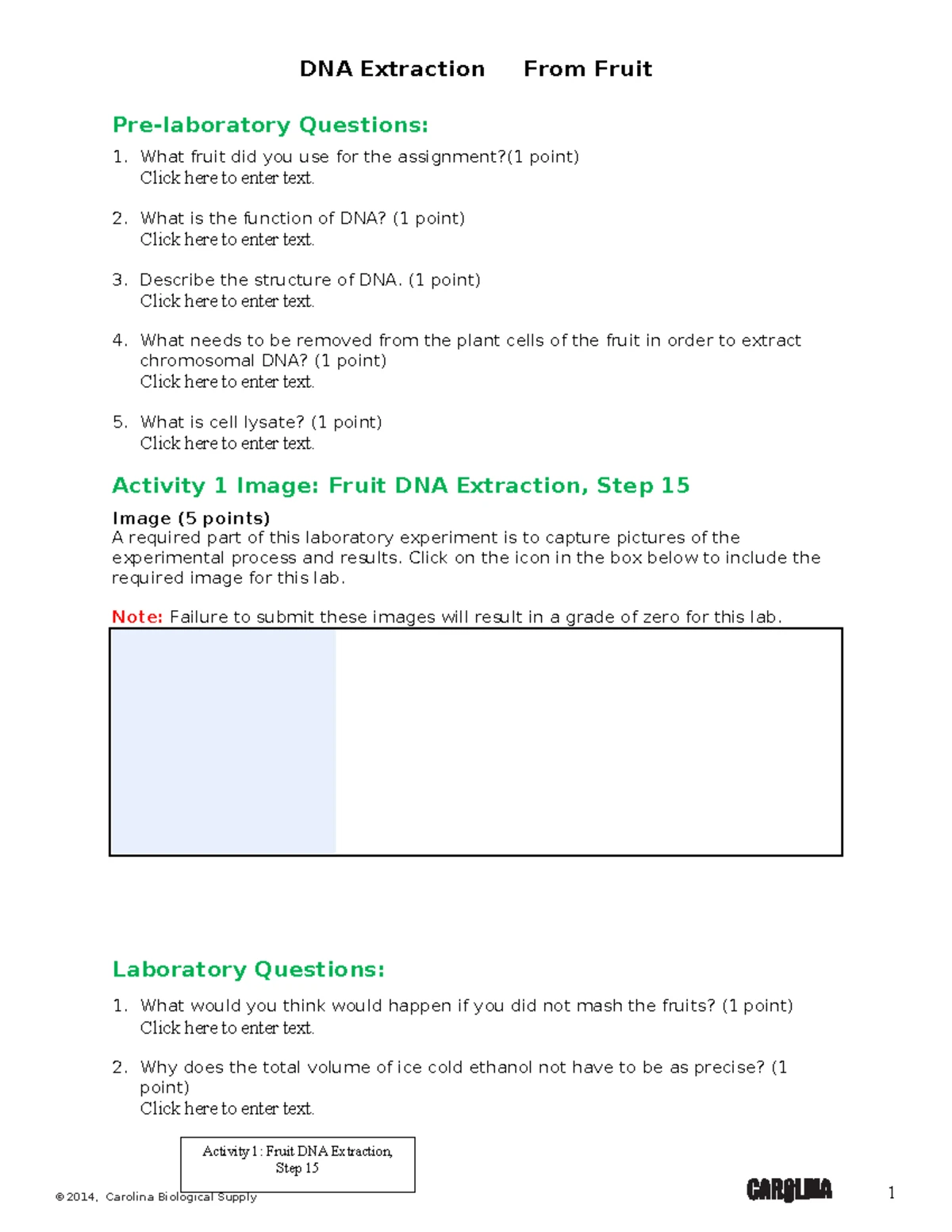 M9 Lab Report: Cell Cycle, Mitosis & Meiosis Assignment Worksheet - Studocu