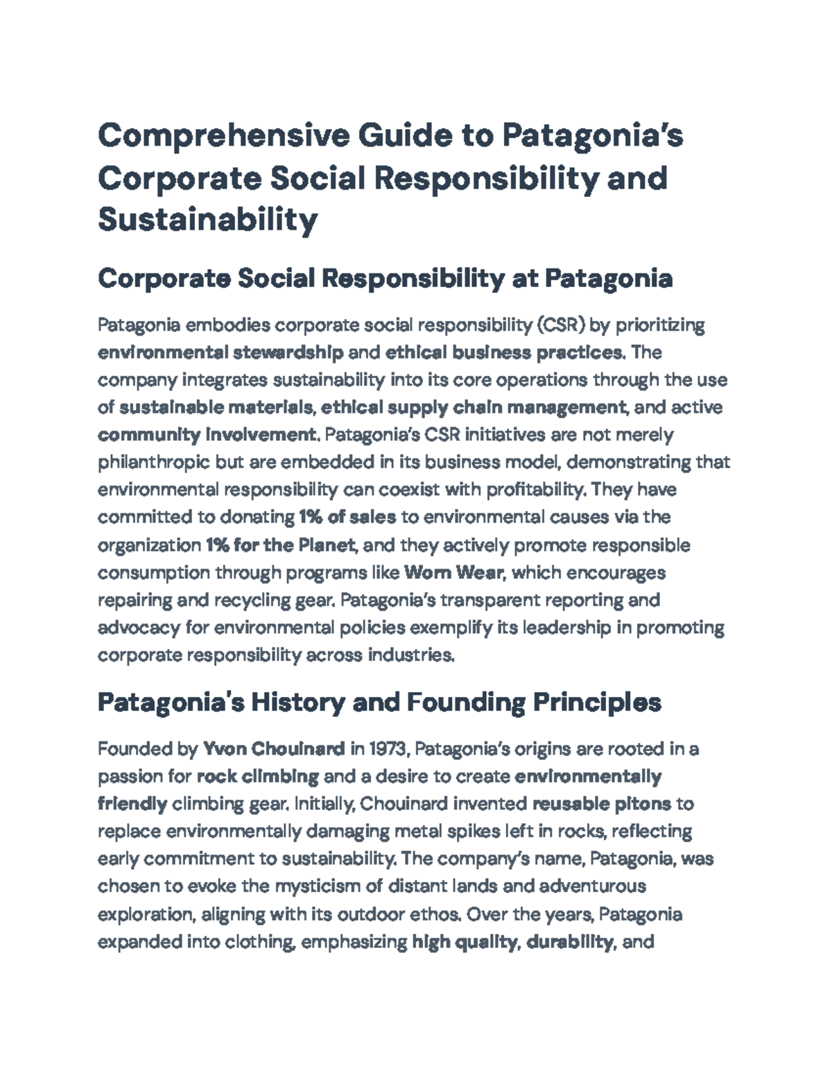 Comprehensive Overview of Patagonia's CSR & Sustainability Practices ...