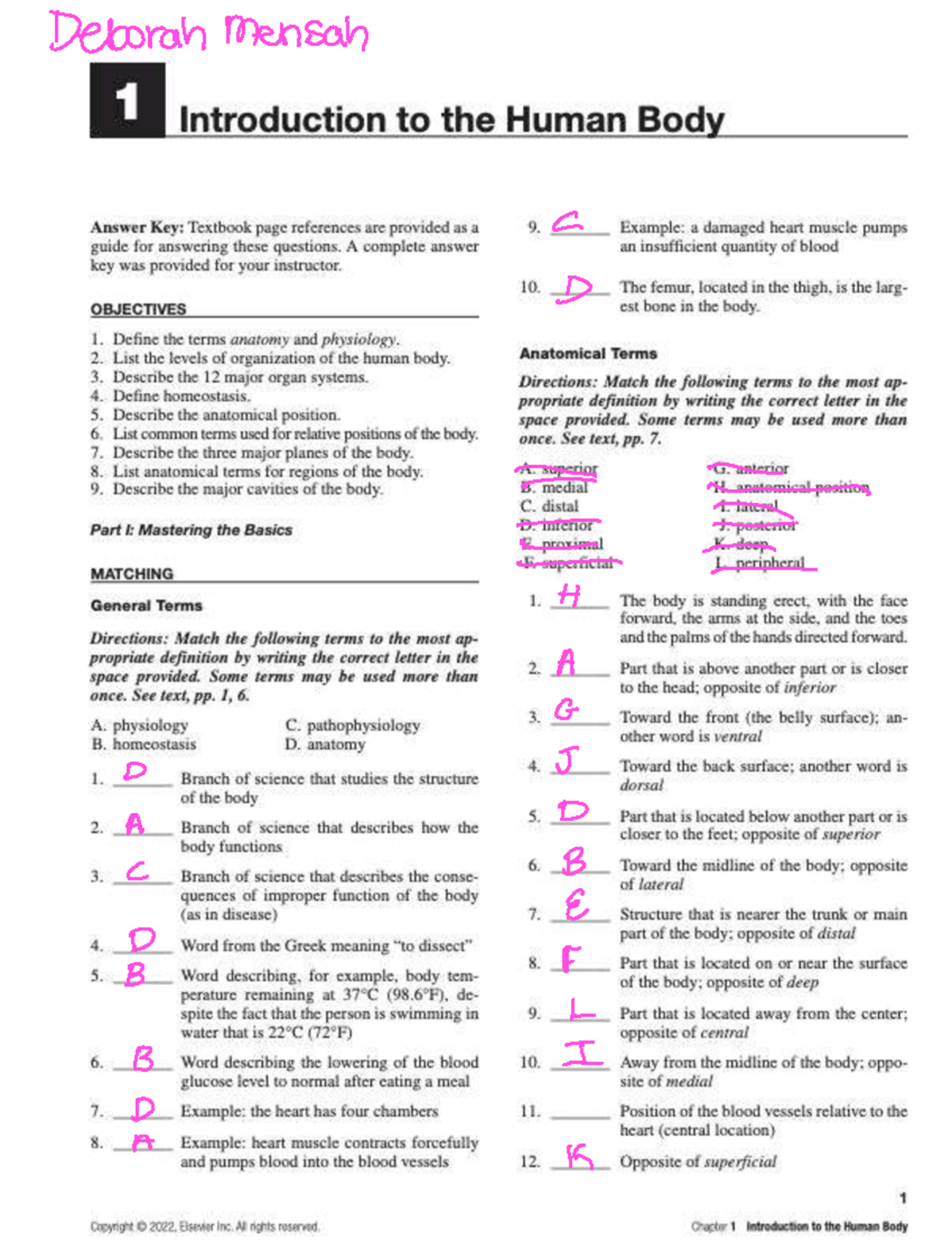 Chapter 1 & 2 Homework 4 - Anatomy & Directional Terms - Studocu