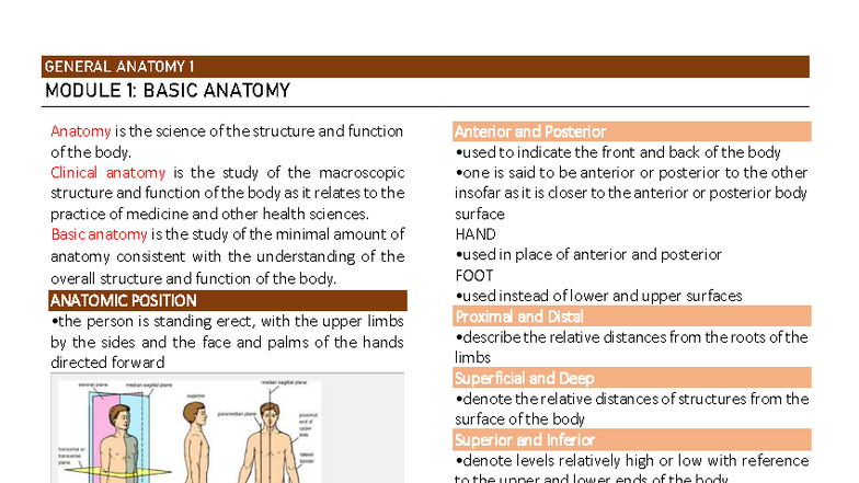 ANAT 101: General Anatomy Module 1 - Basic Concepts and Terminology - Studocu