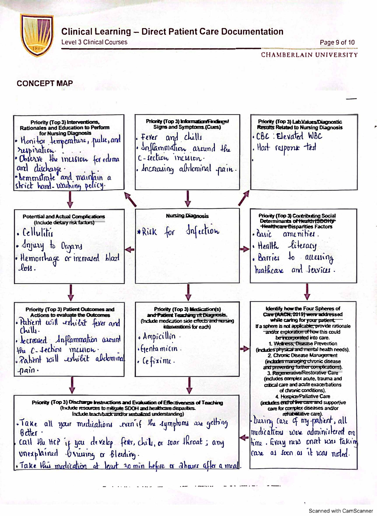 NR 442 concept Map 1 - Clinical Learning - Direct Patient Care ...