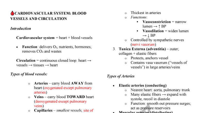 CARDIOVASCULAR SYSTEM: BLOOD VESSELS & CIRCULATION CRAM SHEET - Studocu