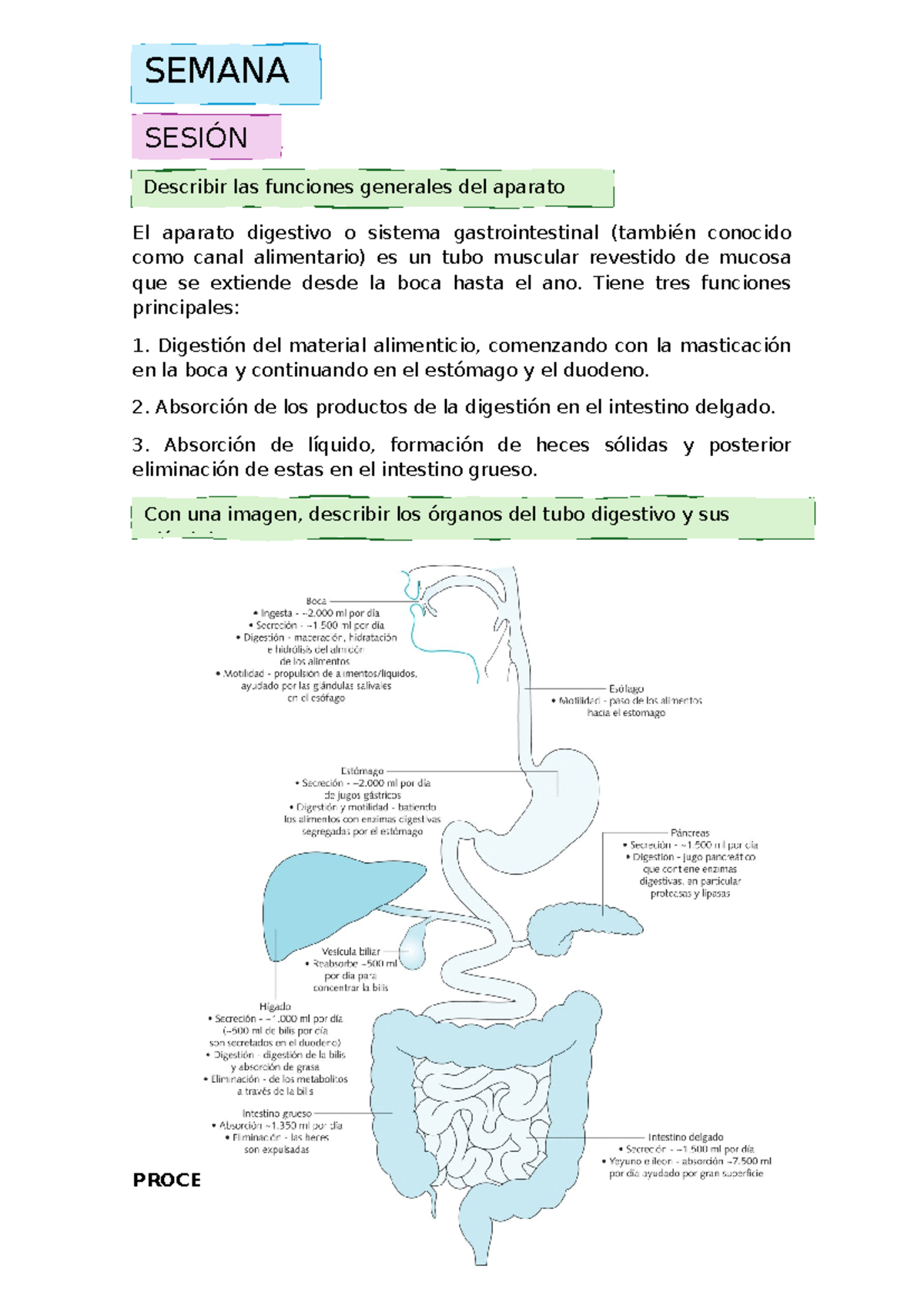 Guías de Estudio - Sistema Digestivo: Funciones y Estructuras (BIO101 ...