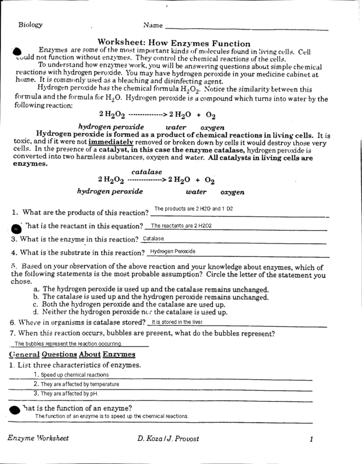 Biology 101: Enzyme Worksheet and Functions Overview - Studocu