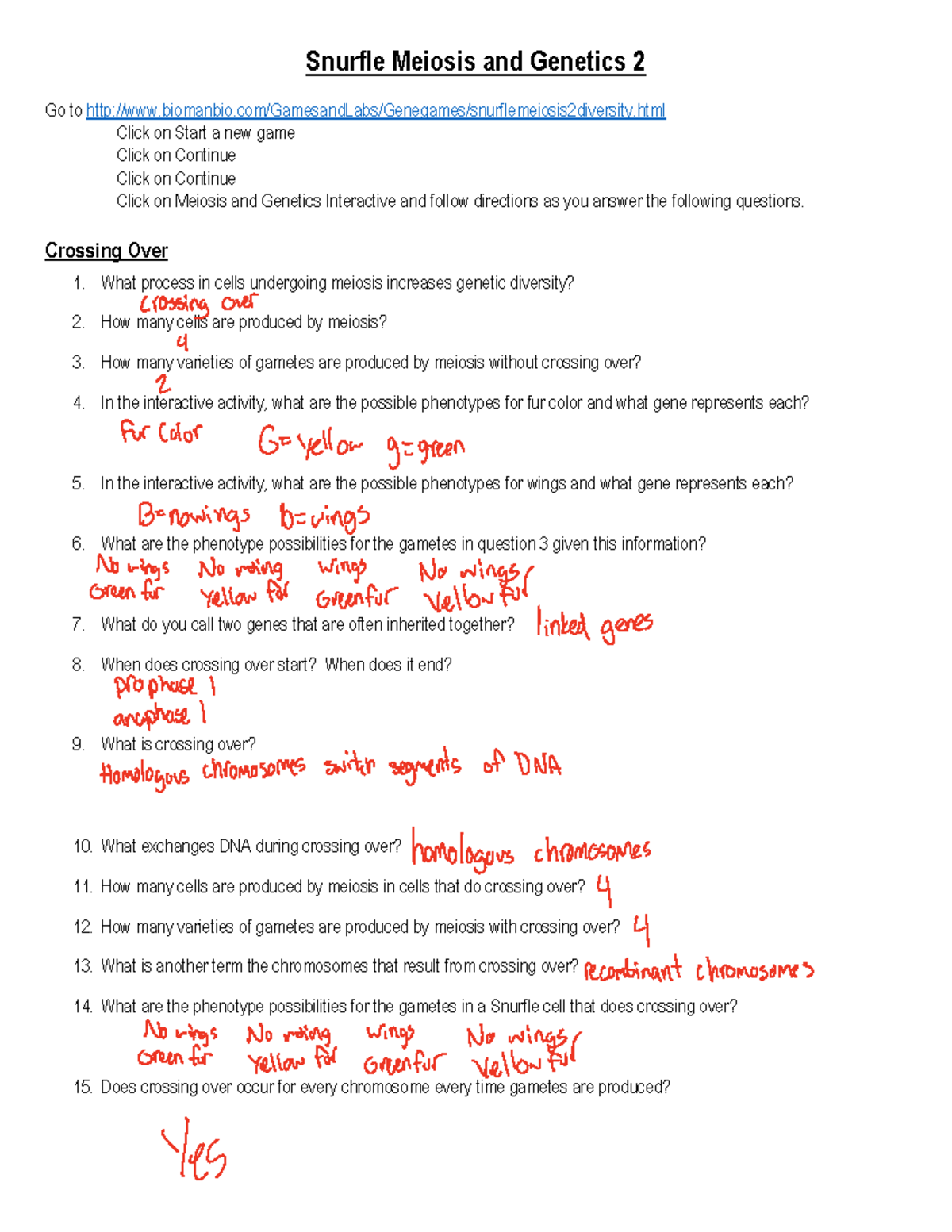 Bioman+Snurfle+Meiosis+and+Genetics+2+Worksheet+%281%29 - Snurfle ...