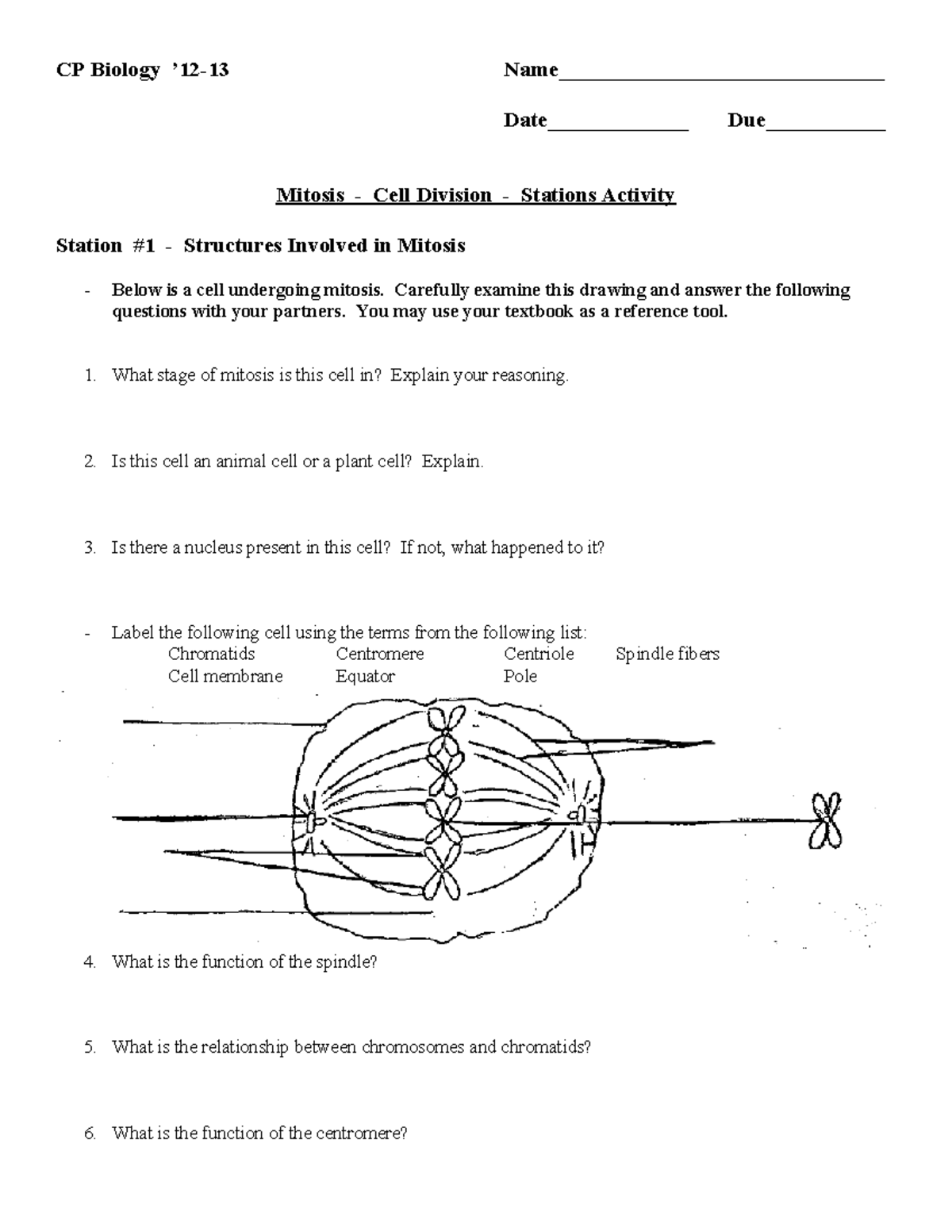 Mitosis Cell Division Stations Activity - CP Biology 12-13 - Studocu