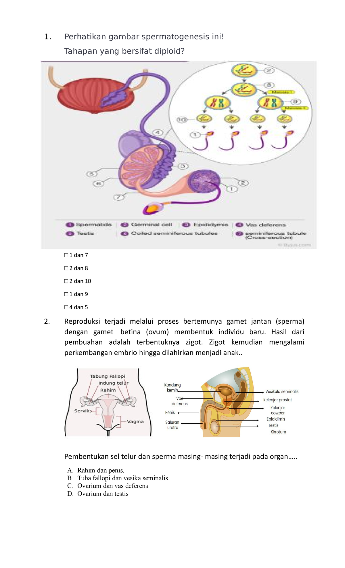 SOAL AKM - Latihan Reproduksi dan Perkembangan Sel Gamet - Studocu
