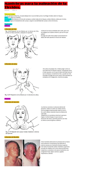 Clasificación CEAP de Insuficiencia Venosa: Componentes y Descripción ...
