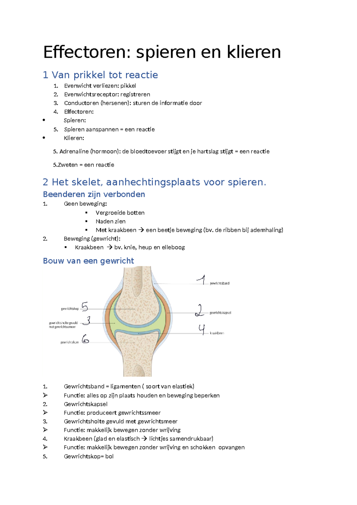 Bio 3 Spieren - ...... - Effectoren: spieren en klieren 1 Van prikkel ...