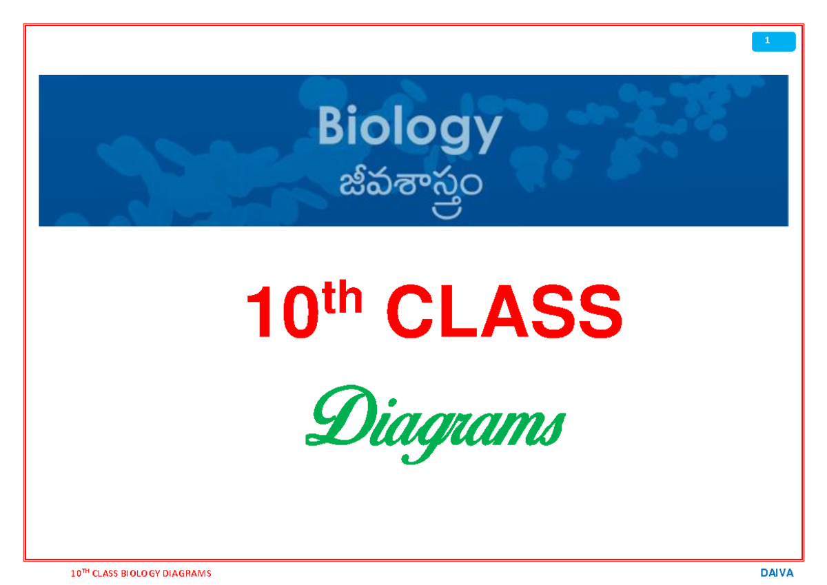 10TH CLASS BIOLOGY DIAGRAMS: Key Concepts & Structures - Studocu