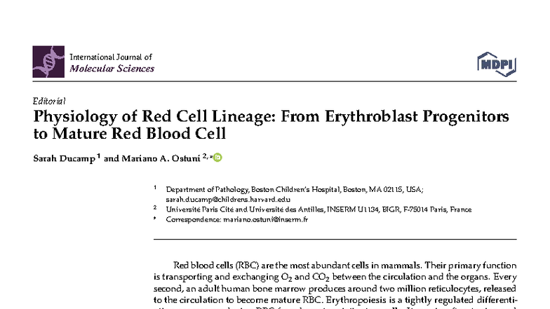 Physiology of Red Cell Lineage: Insights from Erythroblast to RBC (IJMS ...