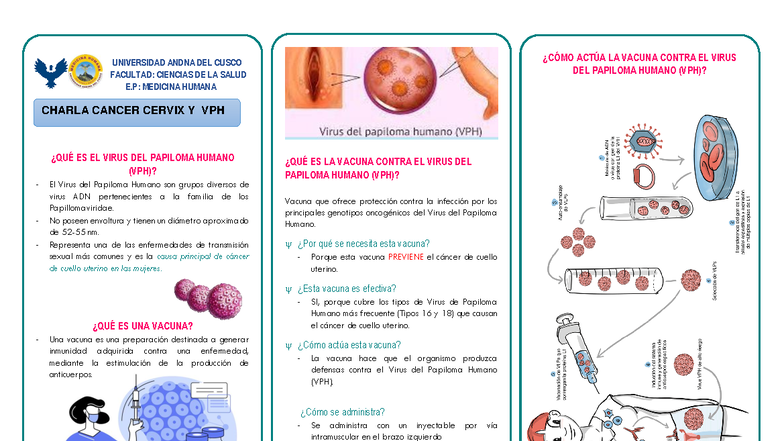 Tríptico sobre VPH y Cáncer de Cérvix - Medicina Humana - Studocu