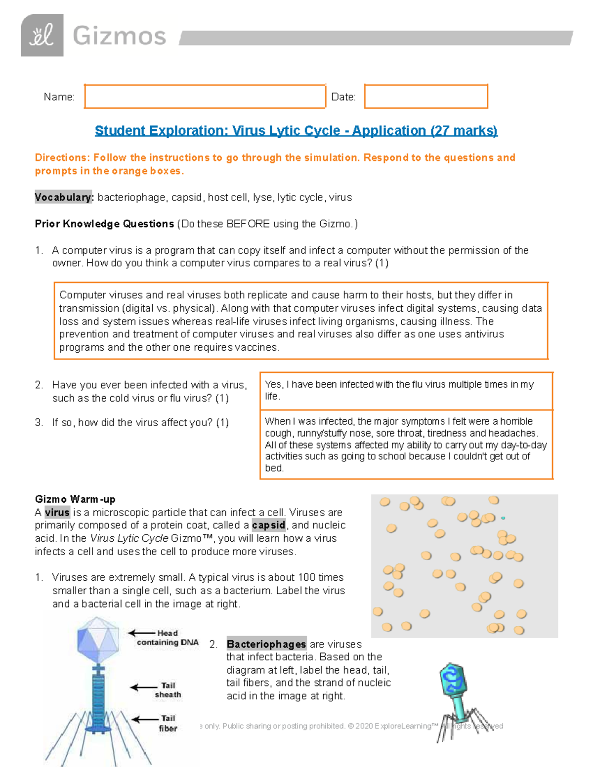 Copy of SBI3U- Virus Lytic Cycle Gizmo - Name: Date: Student ...