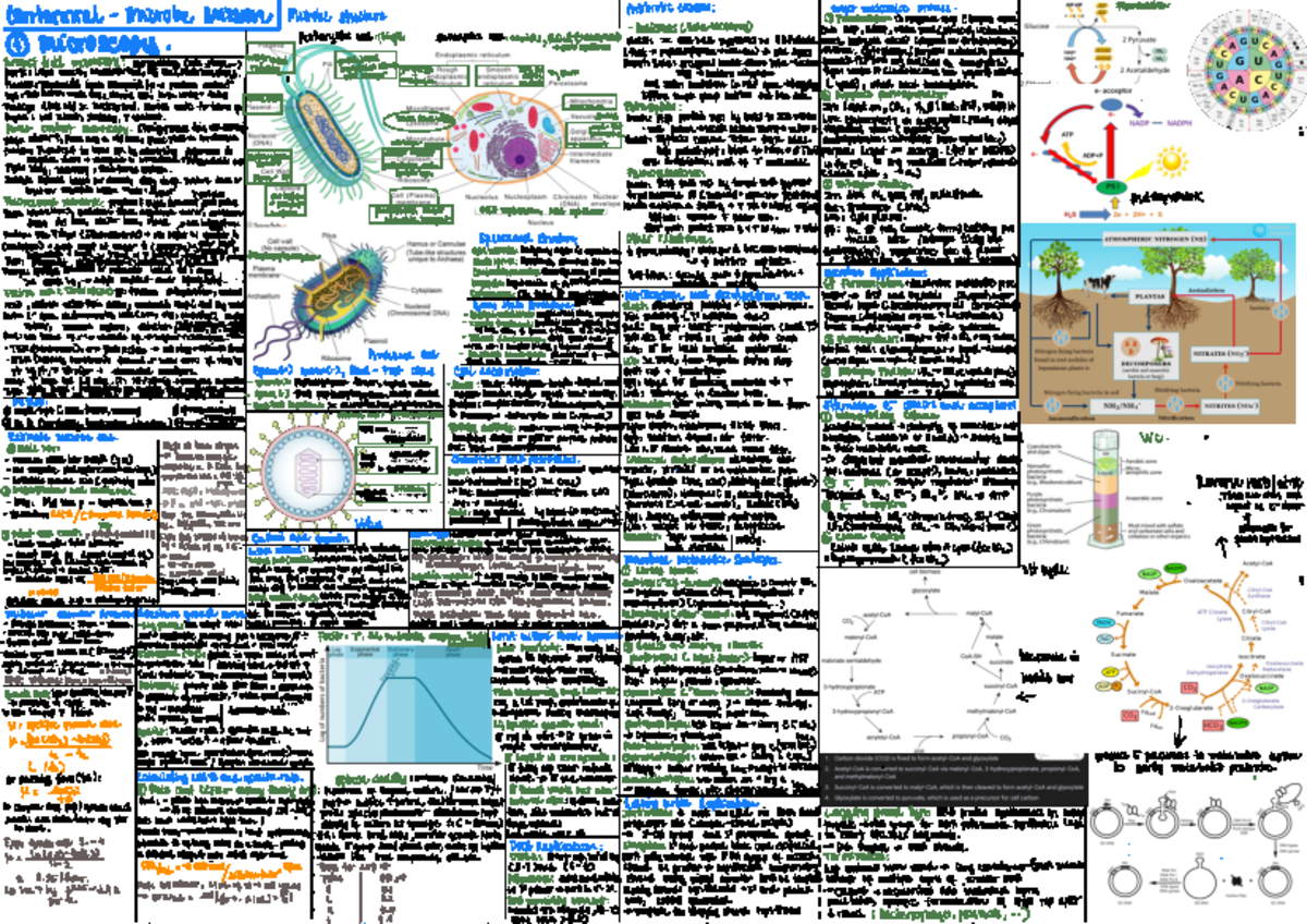 Microbe Mission - Prepare for science Olympiad - Antibiotic classes ...