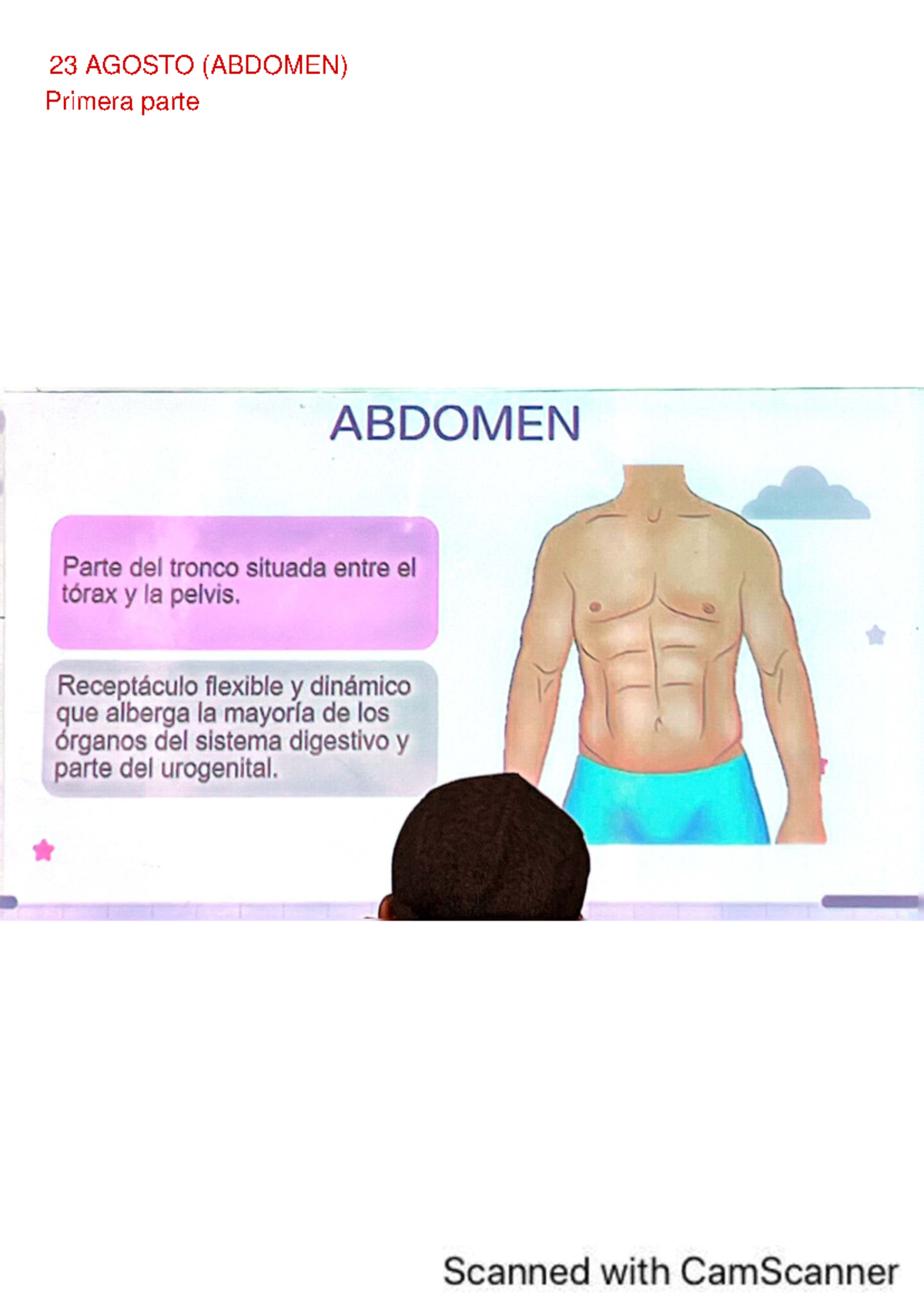 Abdomen 4M - anato para estudir} - Ciencias médicas de la salud - 23 ...
