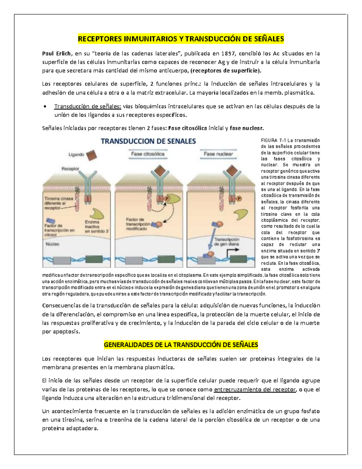 Capitulo 7 - Resumen IMUNOLOGIA CELULAR E MOLECULAR - Warning: TT: undefined function: 32 ...