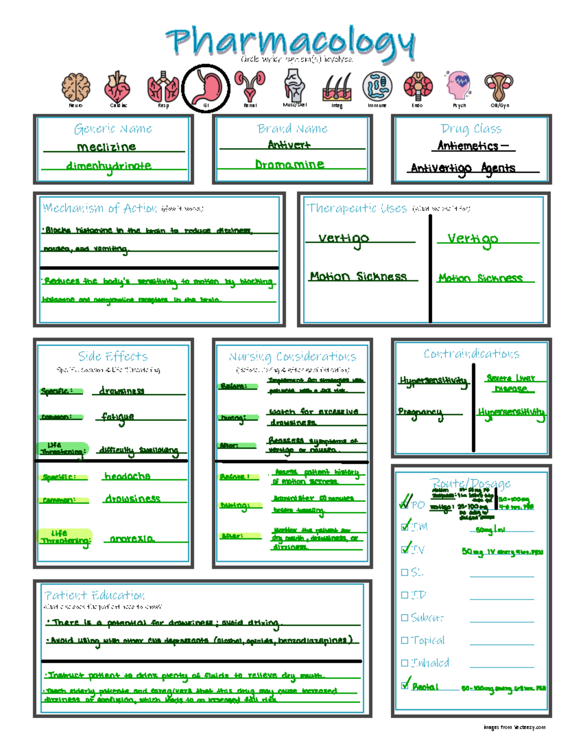Gastrointestinal Drug Cards - Generic Name Brand Name Drug Class ...