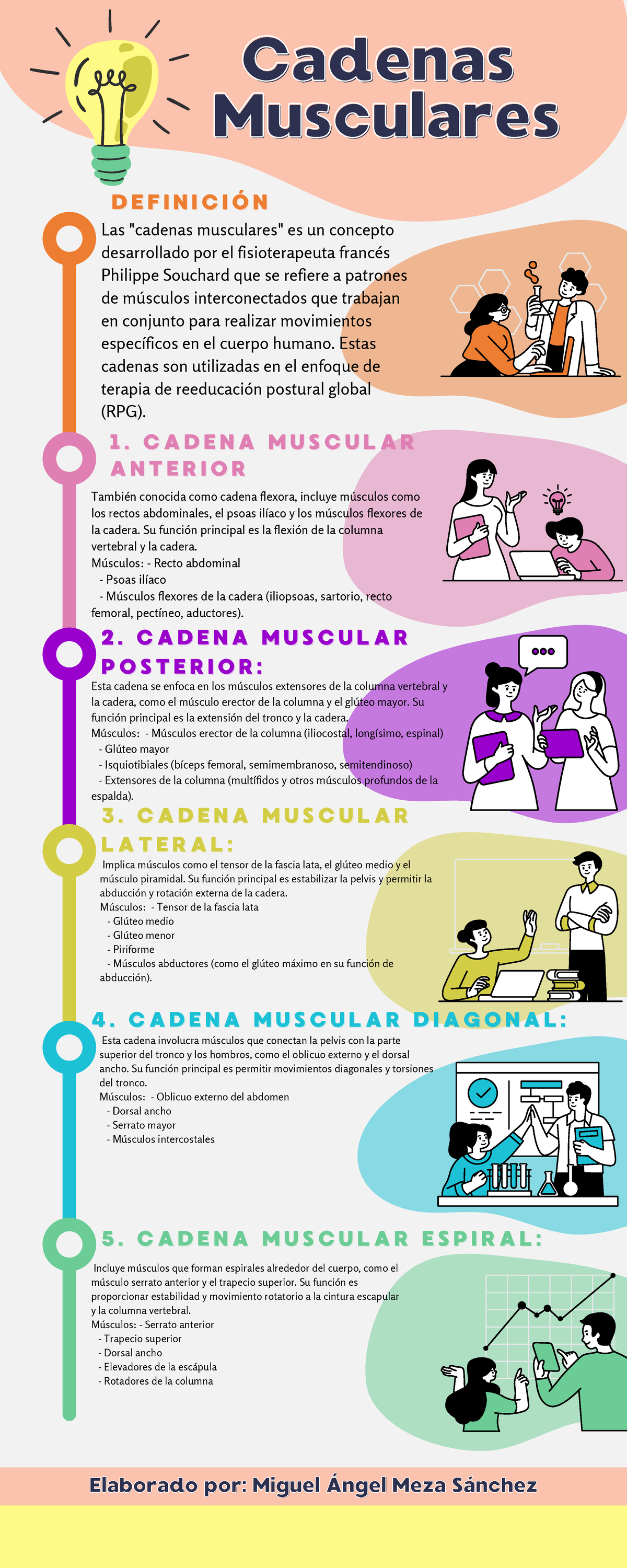 Cadenas Musculares: Análisis y Funciones de las Cadenas Musculares ...
