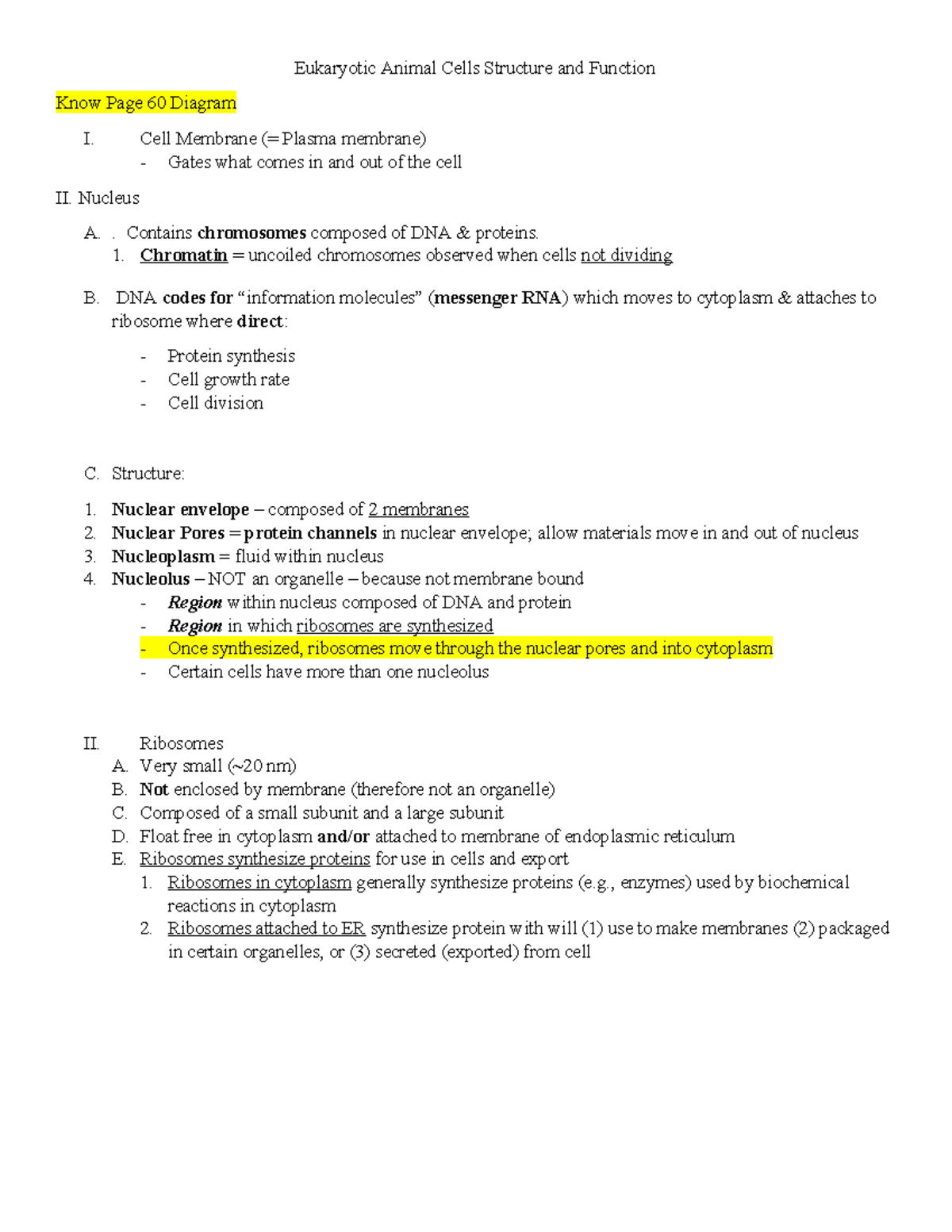 Eukaryotic cells s21 - notes - Eukaryotic Animal Cells Structure and ...